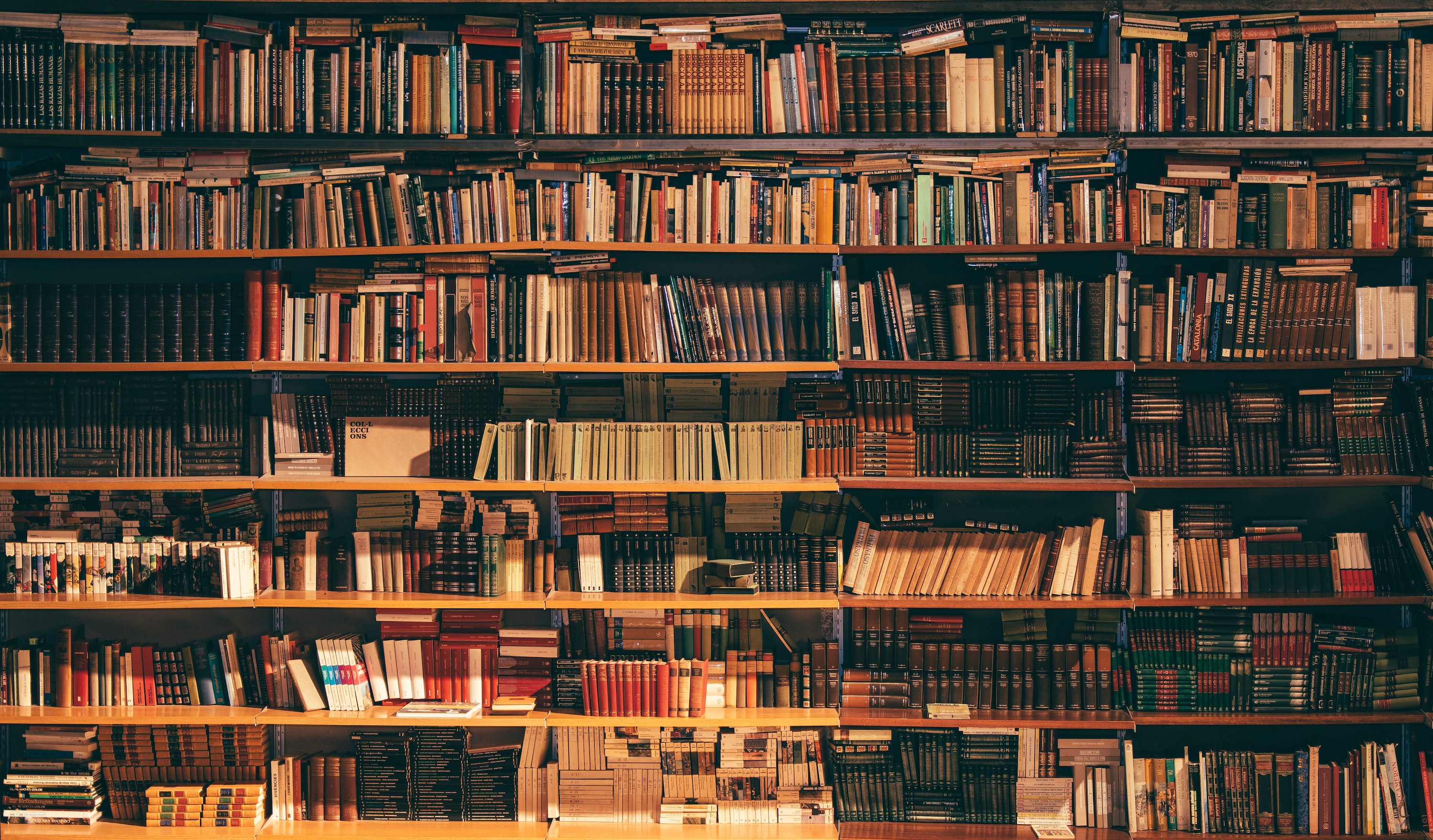 Stories Bookshelf | Faculty of English